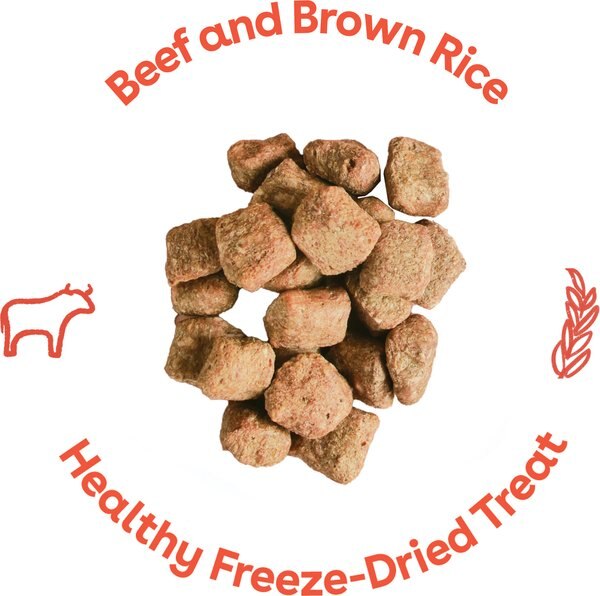 PUPFORD Beef & Brown Rice Natural Biscuit Dog Treats, 5-oz pouch ...