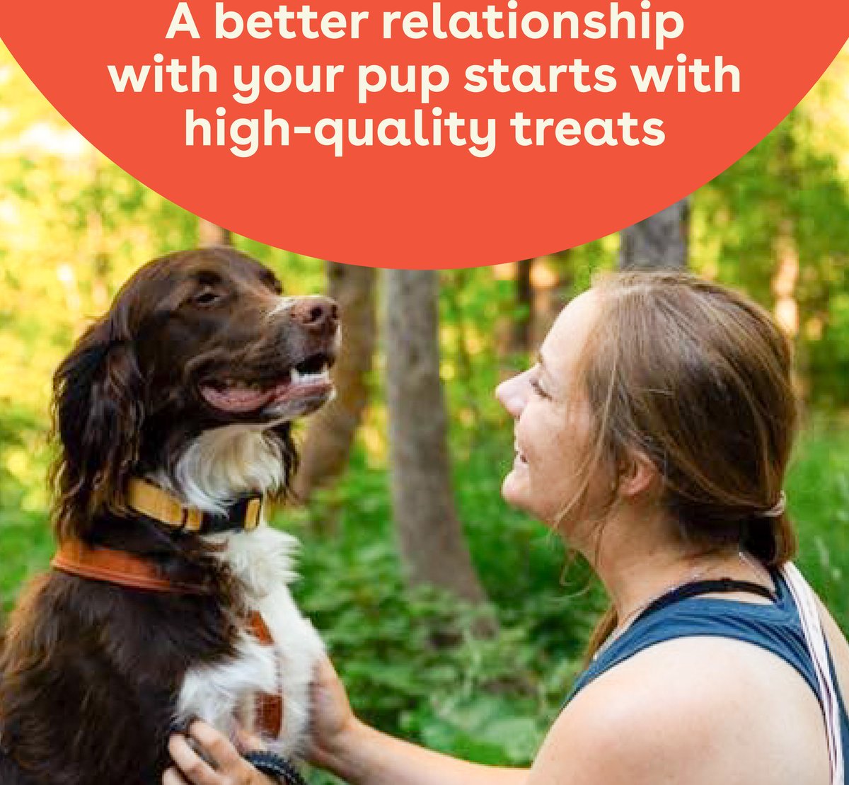 PUPFORD Beef & Brown Rice Natural Biscuit Dog Treats, 5-oz pouch ...