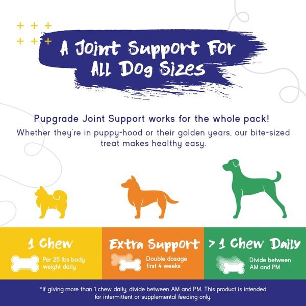 PUPGRADE Joint Support Supplement for Dogs, 60 count - Chewy.com