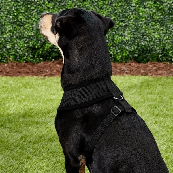 PUPPIA Polyester Back Clip Dog Harness, Black, Large: 20 to 29-in chest ...