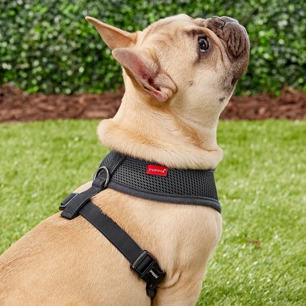 PUPPIA Polyester Back Clip Dog Harness, Grey, Medium: 16 to 22-in chest ...