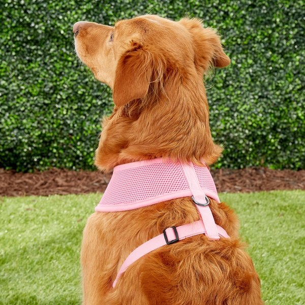 PUPPIA Polyester Back Clip Dog Harness, Pink, X-Large: 22 to 32-in ...