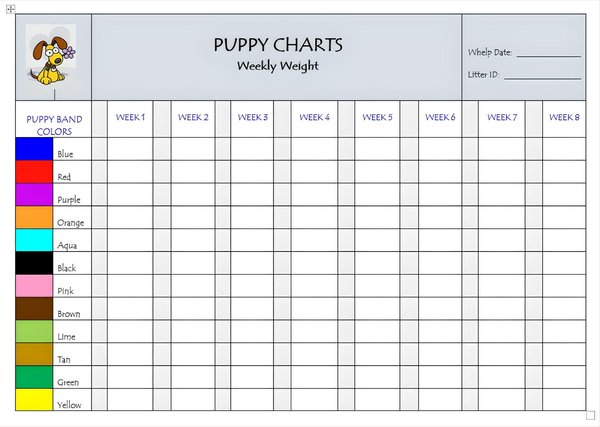 PUPPIES IN BLOOM Color Coordinated Breeder Record Keeping Charts ...