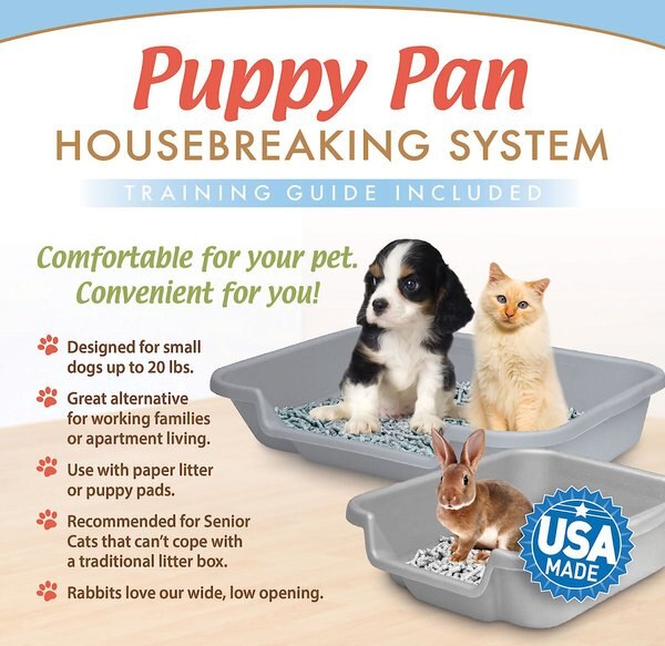 PUPPY PAN Dog, Cat & Small Animal Litter Pan, Gray, Small - Chewy.com