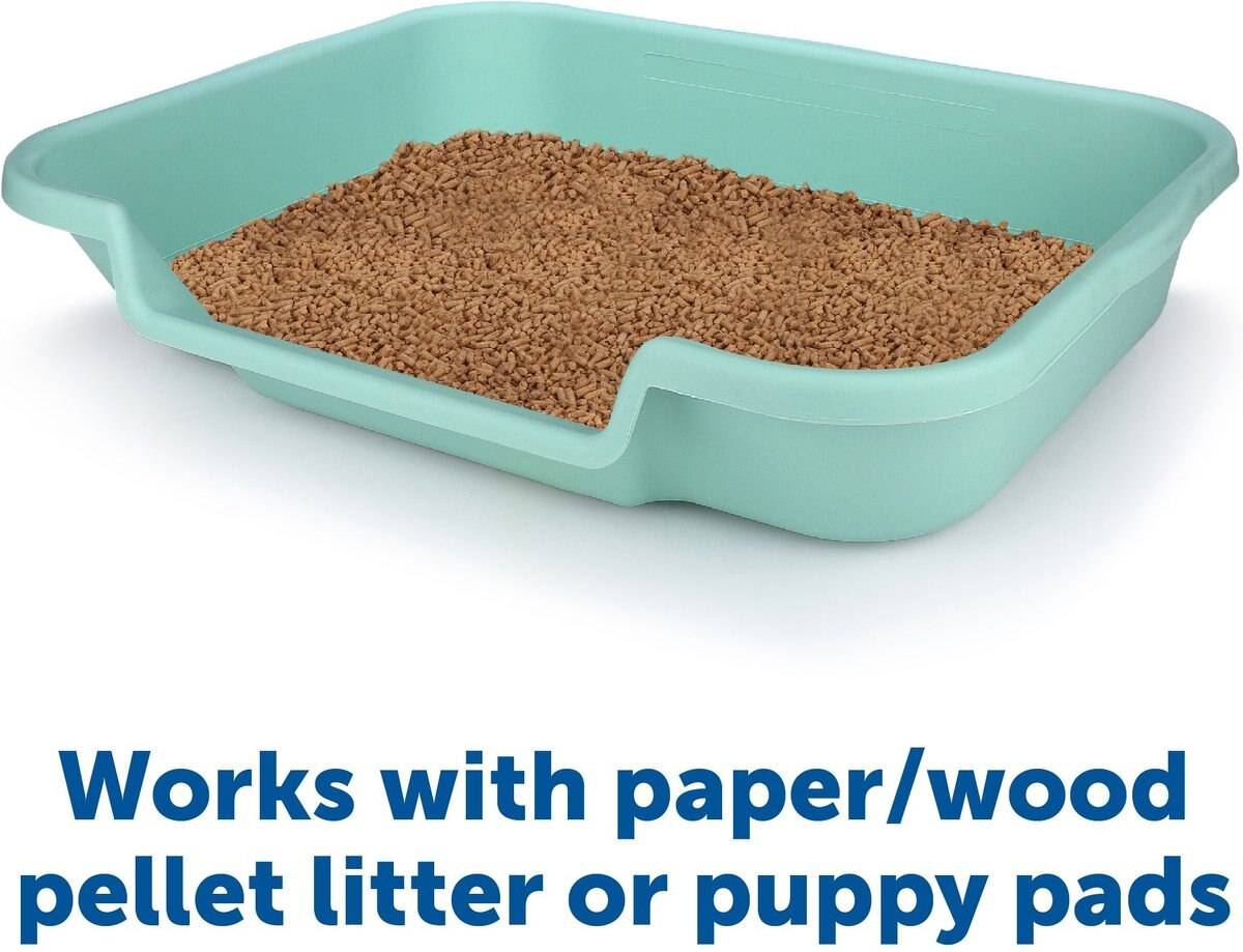 PUPPY PAN Dog, Cat & Small Animal Litter Pan, Green, Large - Chewy.com