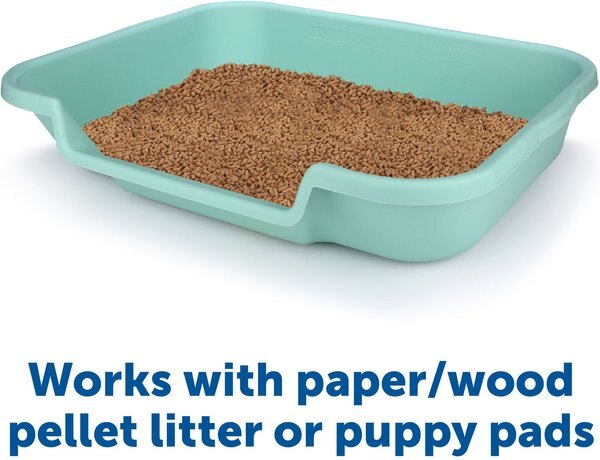 PUPPY PAN Dog, Cat & Small Animal Litter Pan, Green, Large - Chewy.com