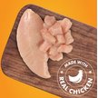 PUR LUV Whole Muscle Chicken Jerky Dog Treats, 32-oz pouch - Chewy.com