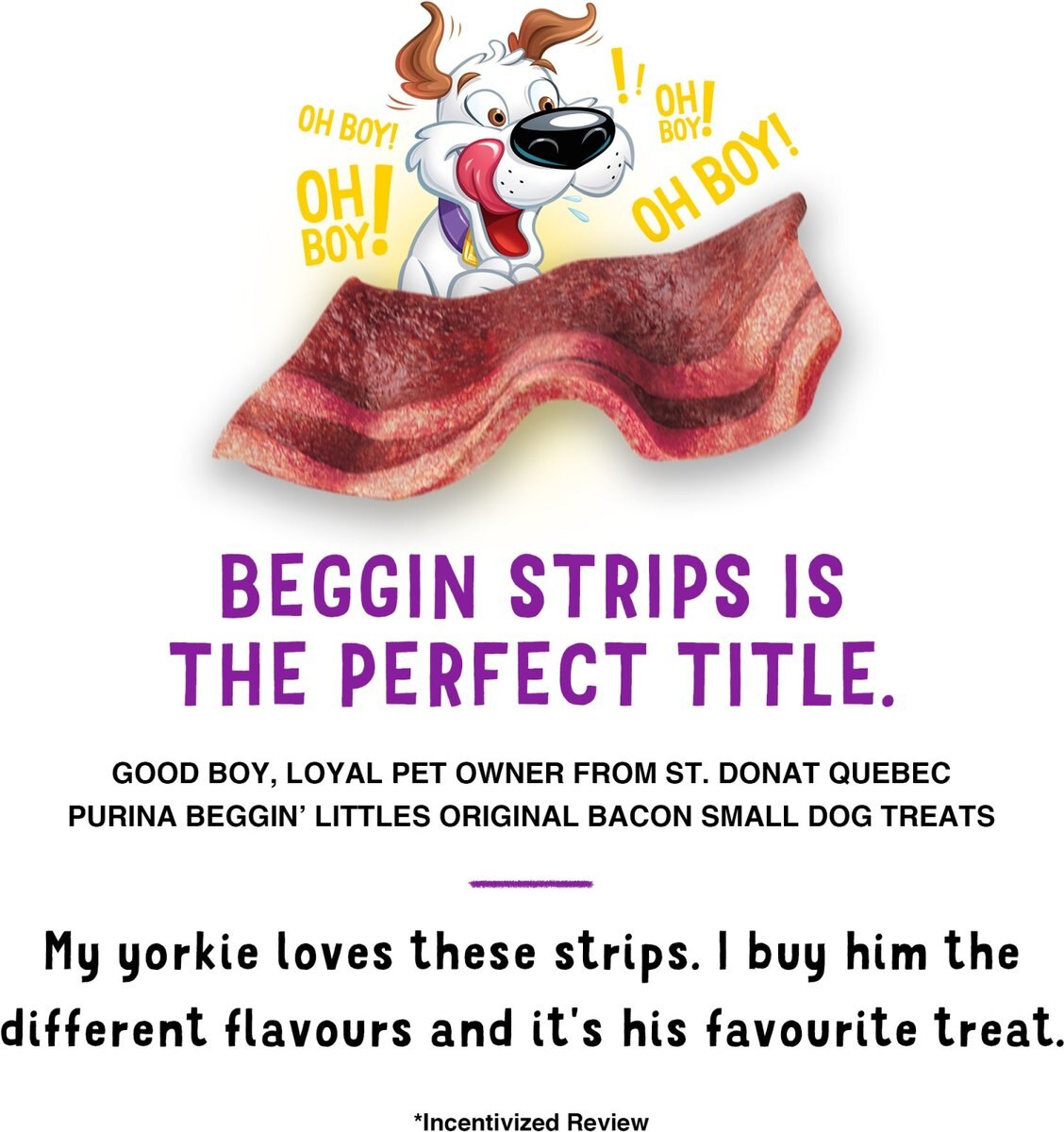 Purina Beggin' Real Meat Fun Size Original with Bacon Flavored Dog ...