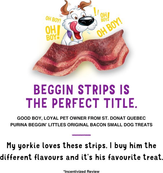 Purina Beggin' Real Meat Fun Size Original with Bacon Flavored Dog ...