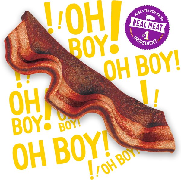 Purina Beggin' Strips with Real Meat Thick Cut Hickory Smoke Flavor ...