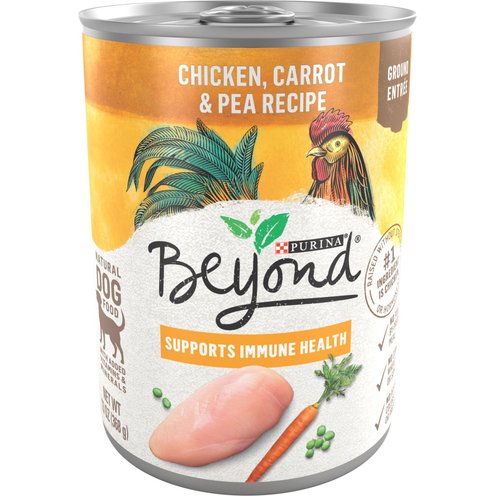 Beyond Canned Dog Food