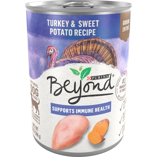 PURINA BEYOND Grain-Free Turkey & Sweet Potato Recipe Ground Entree ...