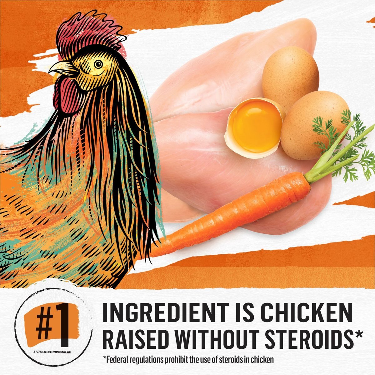 PURINA BEYOND White Meat Chicken & Egg Recipe Grain-Free Natural Dry ...