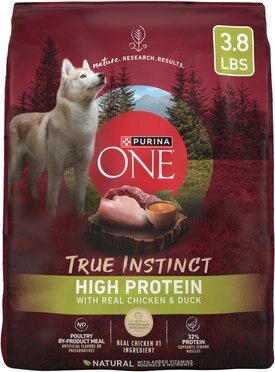 Purina ONE Dry Dog Food - Free Shipping | Chewy