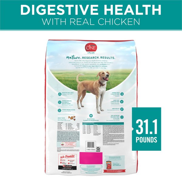 PURINA ONE +Plus Adult Digestive Health Formula Dry Dog Food, 31.1-lb ...