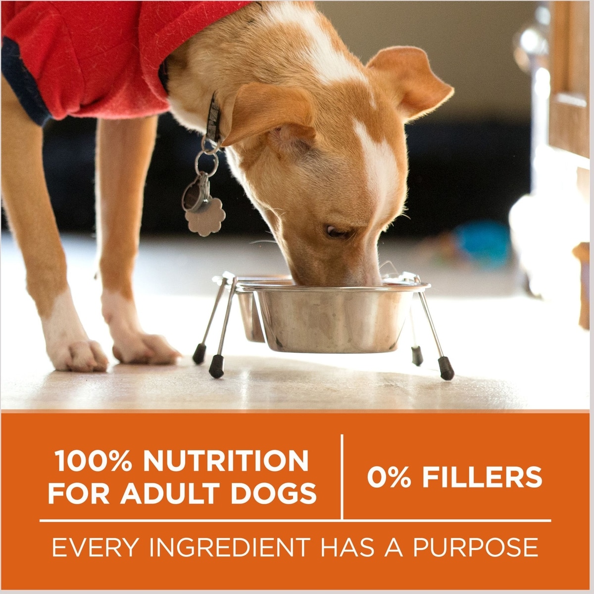 PURINA ONE +Plus Adult High-Protein Healthy Weight Formula Turkey ...