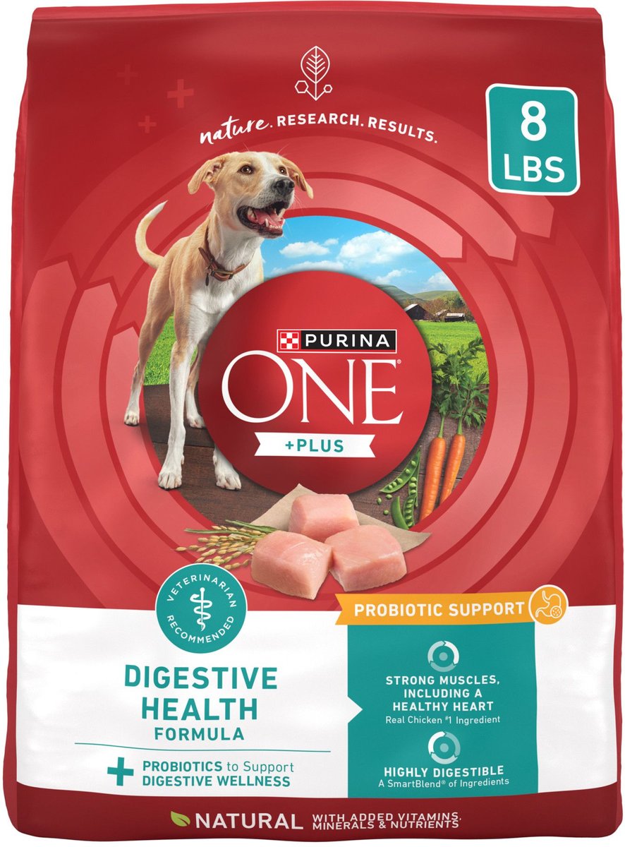 PURINA ONE Plus Digestive Health Formula Dry Dog Food, 8-lb bag - Chewy.com