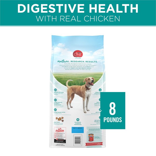 PURINA ONE Plus Digestive Health Formula Dry Dog Food, 8-lb bag - Chewy.com