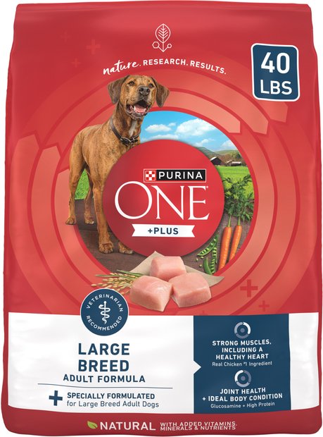 PURINA ONE DRY DOG FOOD (Free Shipping) | Chewy