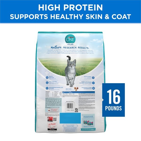 PURINA ONE Plus Skin & Coat Health Formula Natural Salmon & Ocean ...