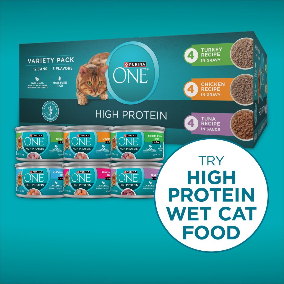 PURINA ONE Plus Skin & Coat Health Formula Natural Salmon & Ocean ...