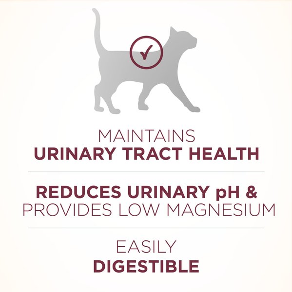 PURINA ONE +Plus Urinary Tract Health Formula High Protein Adult Dry ...