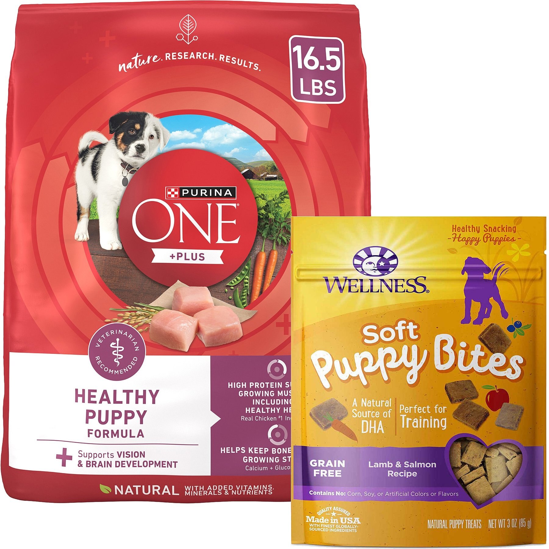 Discover the top 10 dry dog food brands for 2025