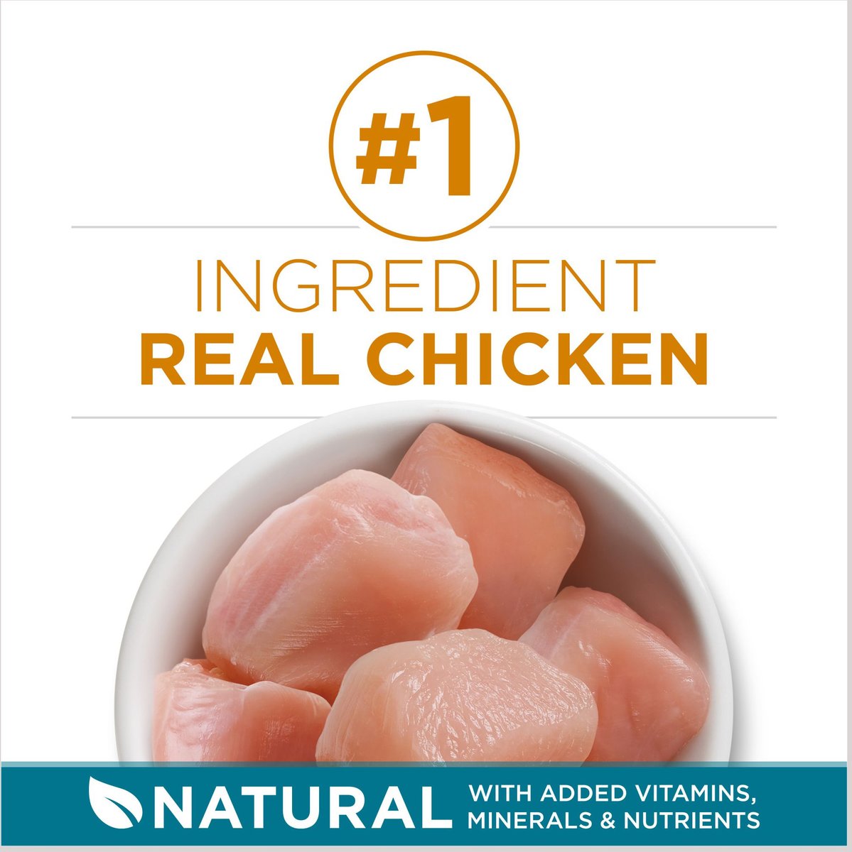 PURINA ONE Tender Selects Blend with Real Chicken Digestive Formula Dry ...