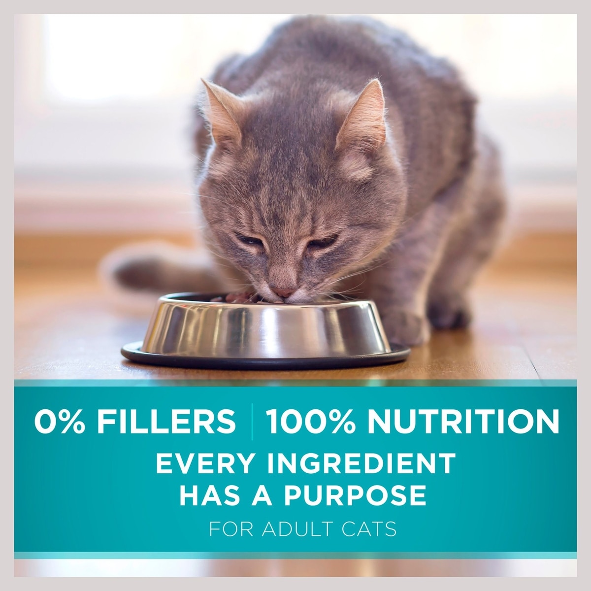 PURINA ONE Tender Selects Blend with Real Chicken Digestive Formula Dry ...