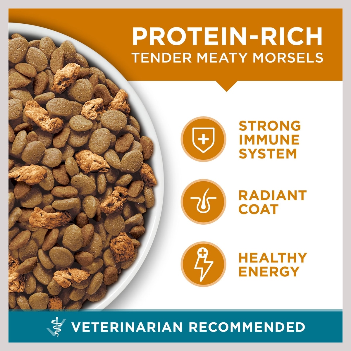 PURINA ONE Tender Selects Blend with Real Chicken Digestive Formula Dry ...