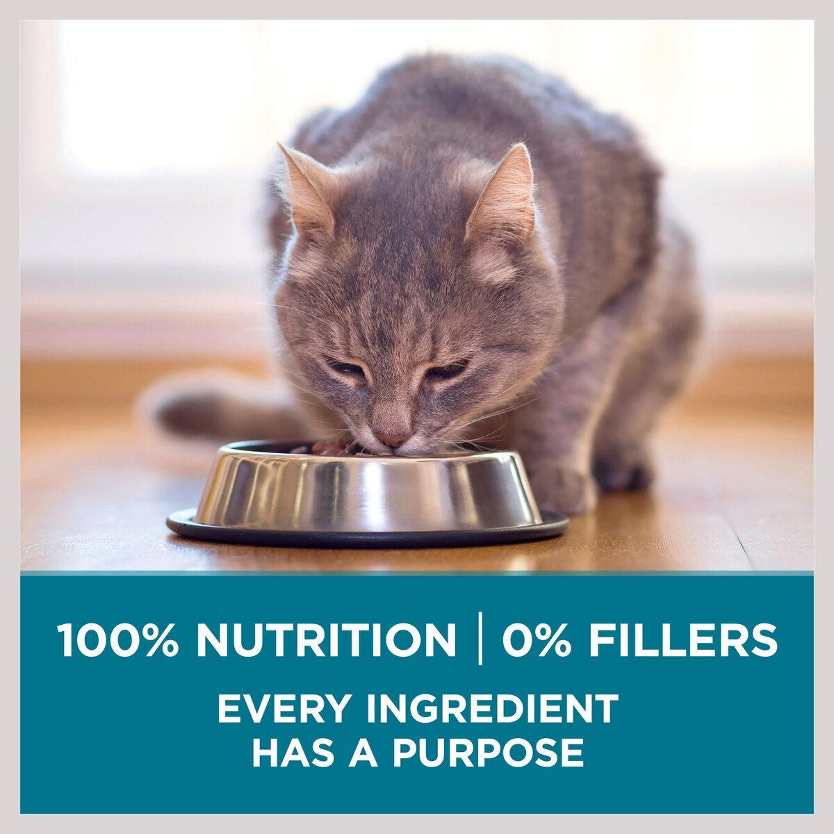 PURINA ONE Tender Selects Blend with Real Chicken Natural Dry Cat Food ...