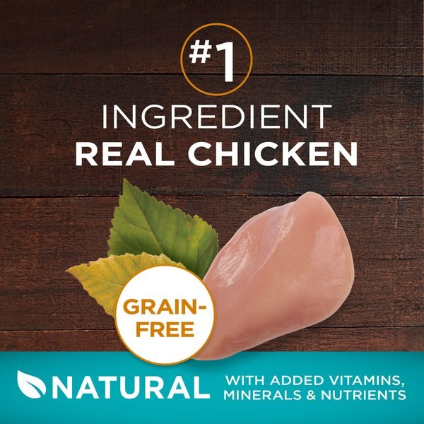 PURINA ONE True Instinct Natural Real Chicken Plus Vitamins & Minerals ...