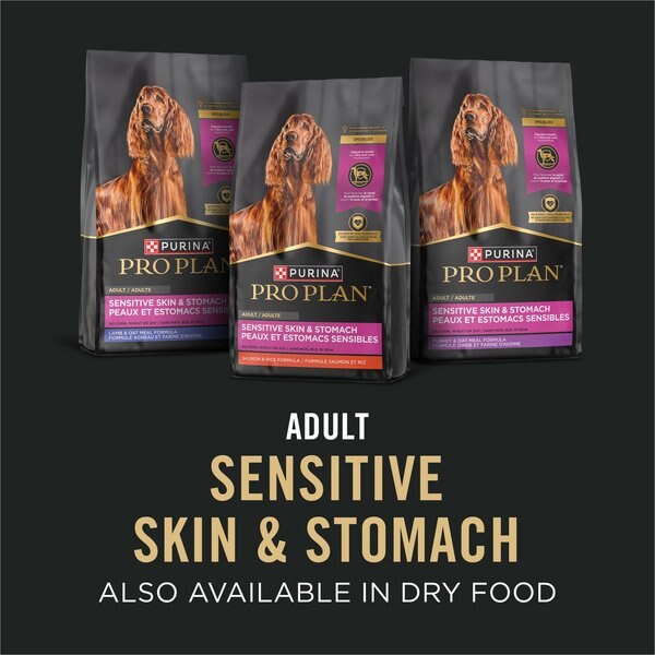 PURINA PRO PLAN Adult Sensitive Skin & Stomach Lamb & Oat Meal Entree ...