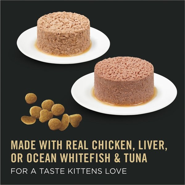 Out of Stock - PURINA PRO PLAN Complete & Balanced Kitten Starter Pack ...