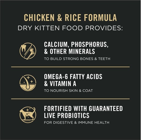 Out of Stock - PURINA PRO PLAN Complete & Balanced Kitten Starter Pack ...