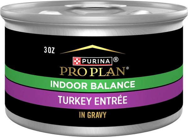 PURINA PRO PLAN High Protein Indoor Grilled Turkey Entree in Gravy Wet ...