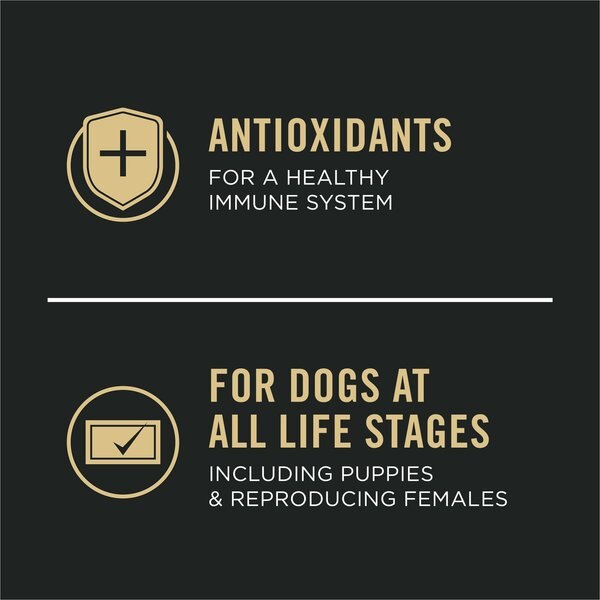 PURINA PRO PLAN Sport All Life Stages High-Protein Active 26/16 Formula ...