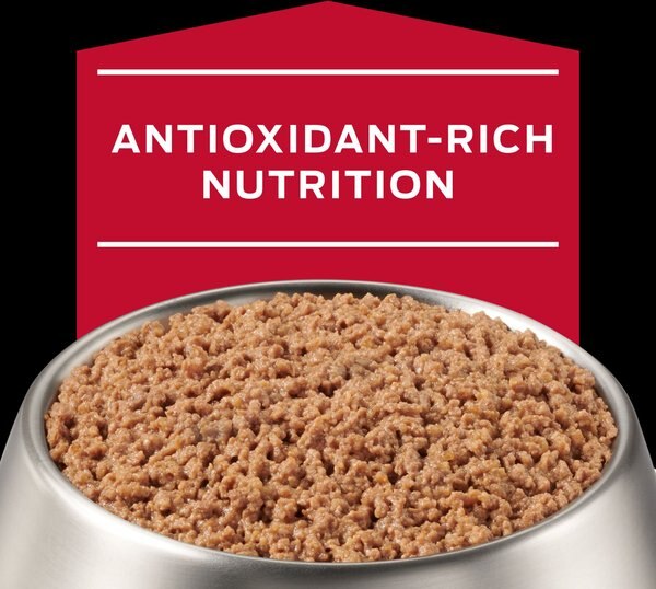 PURINA PRO PLAN VETERINARY DIETS CC Cardiocare Canine Formula Chicken ...