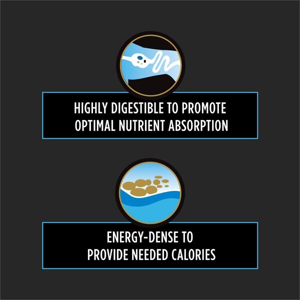 PURINA PRO PLAN VETERINARY DIETS CN Critical Nutrition Wet Dog & Cat ...