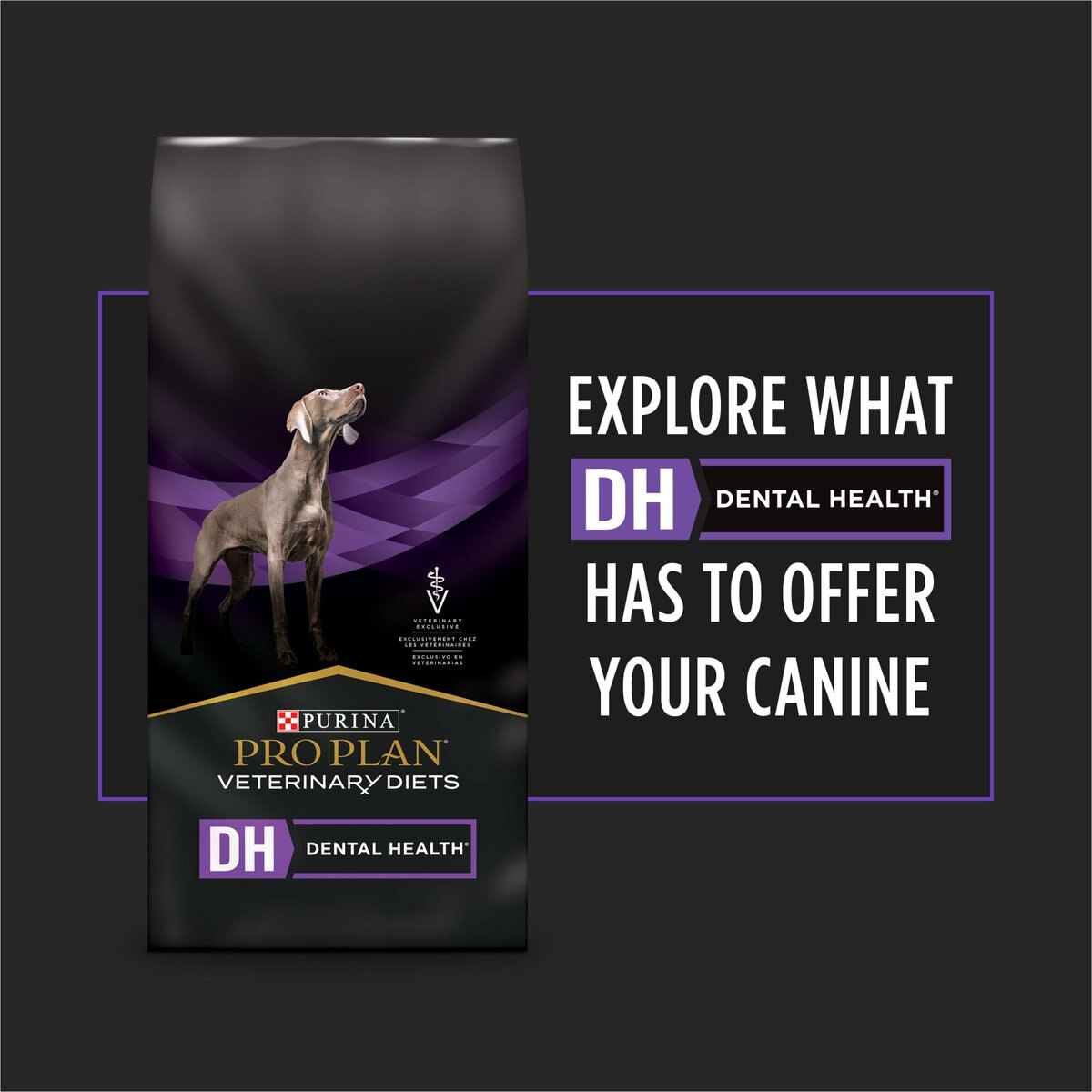 PURINA PRO PLAN VETERINARY DIETS Dental Chewz Dental Chew Dog Treats, 5 ...