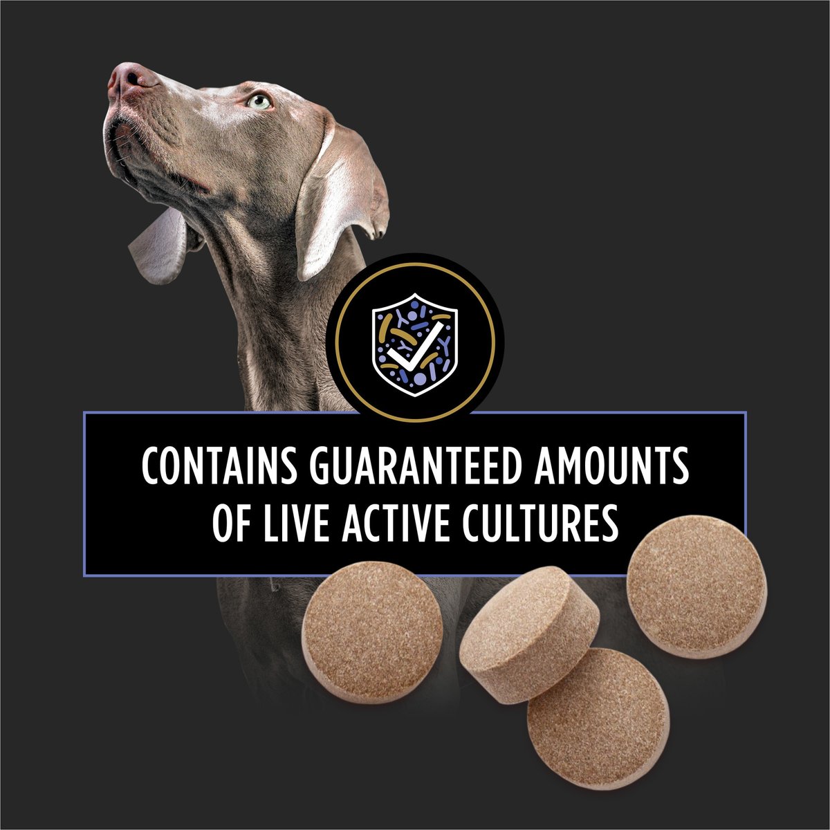 PURINA PRO PLAN VETERINARY DIETS FortiFlora Chewable Tablets Probiotic ...