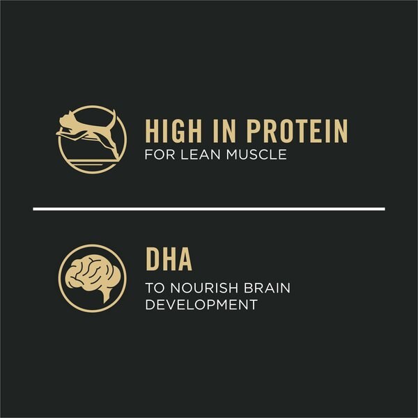 PURINA PRO PLAN Vital Systems Salmon Entrée 4-in-1 Muscles, Brain ...