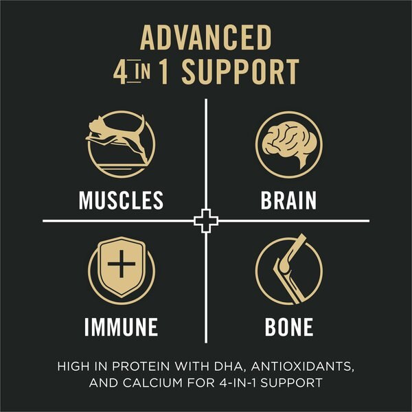 PURINA PRO PLAN Vital Systems Salmon Entrée 4-in-1 Muscles, Brain ...