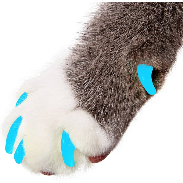 SOFT CLAWS Cat Nail Caps, 40 count, Small, Black - Chewy.com
