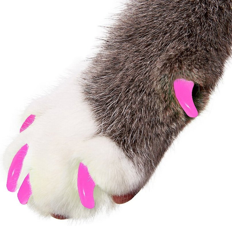PURRDY PAWS Soft Cat Nail Caps, Lipstick Pink, X-Small, 20 count ...