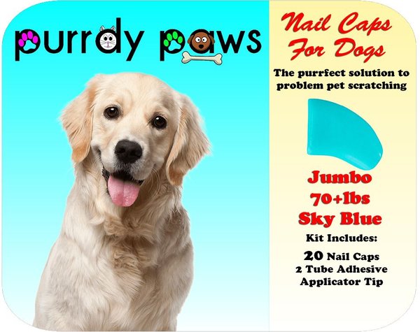 PURRDY PAWS Soft Dog Nail Caps, 20 count, Jumbo, Sky Blue - Chewy.com