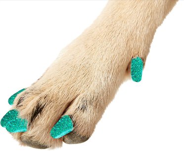 Dog Paw Covers (Free Shipping) | Chewy