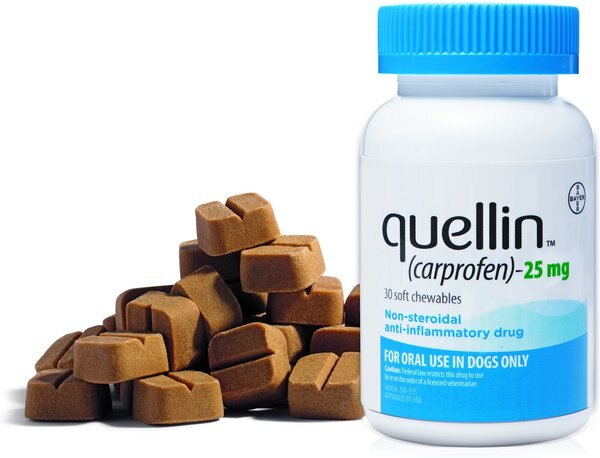 QUELLIN (Carprofen) Chew for Dogs, 25-mg, 30 soft chews - Easy Refills ...