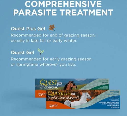 QUEST PLUS Gel Dewormer & Boticide for Horses & Ponies, 0.5-oz syringe ...