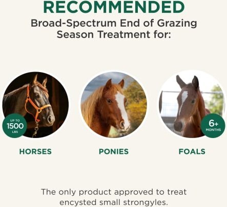 QUEST PLUS Gel Dewormer & Boticide for Horses & Ponies, 0.5-oz syringe ...